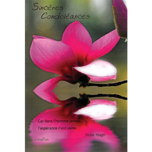 Cartes de sympathie en français